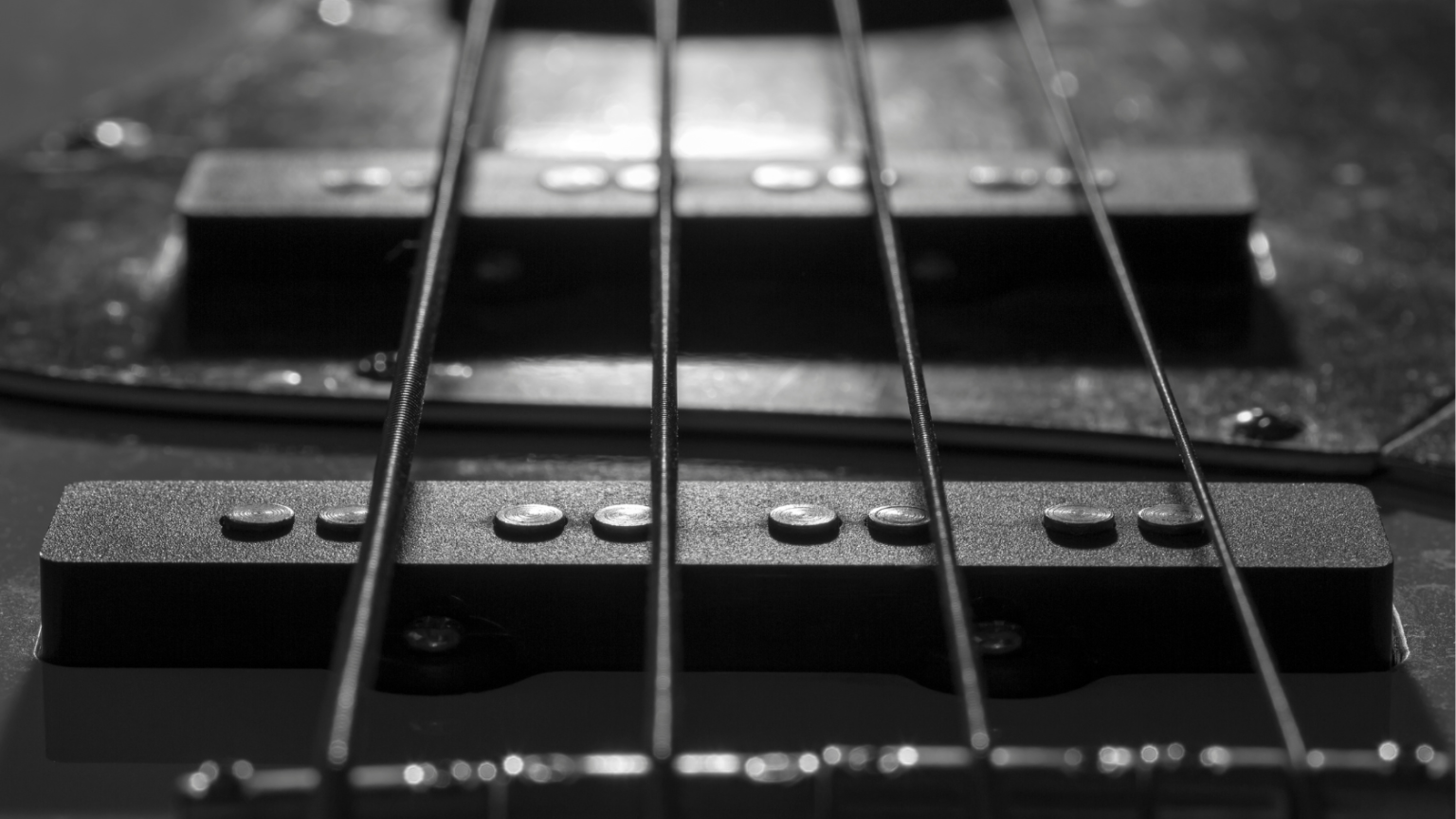 Bass Guitar Pickups Guide Hbh